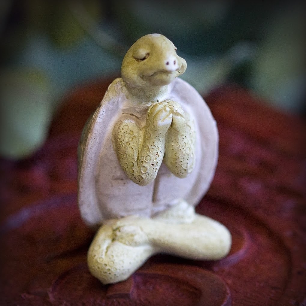 Yoga Turtle Totems for wisdom, peace, and serenity - Sage Goddess