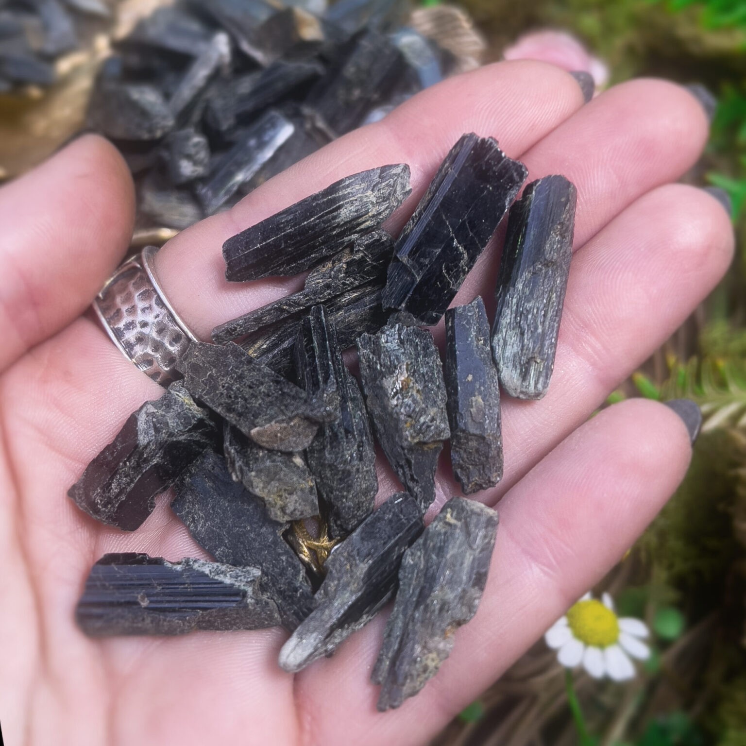 Sage Goddess Natural Aegirine Crystal for creating auric boundaries