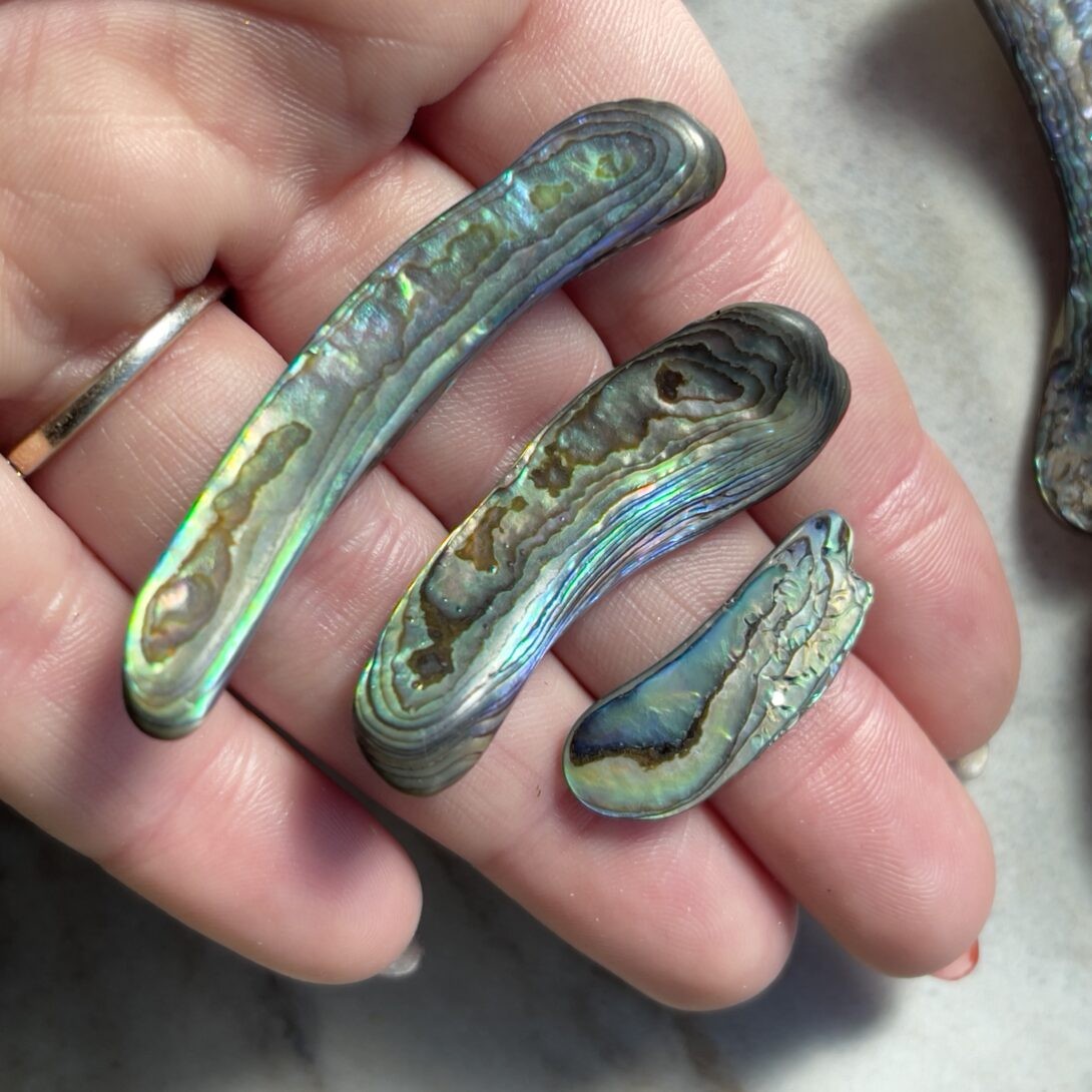 Tumbled Paua Abalone Rim for emotional healing - Sage Goddess