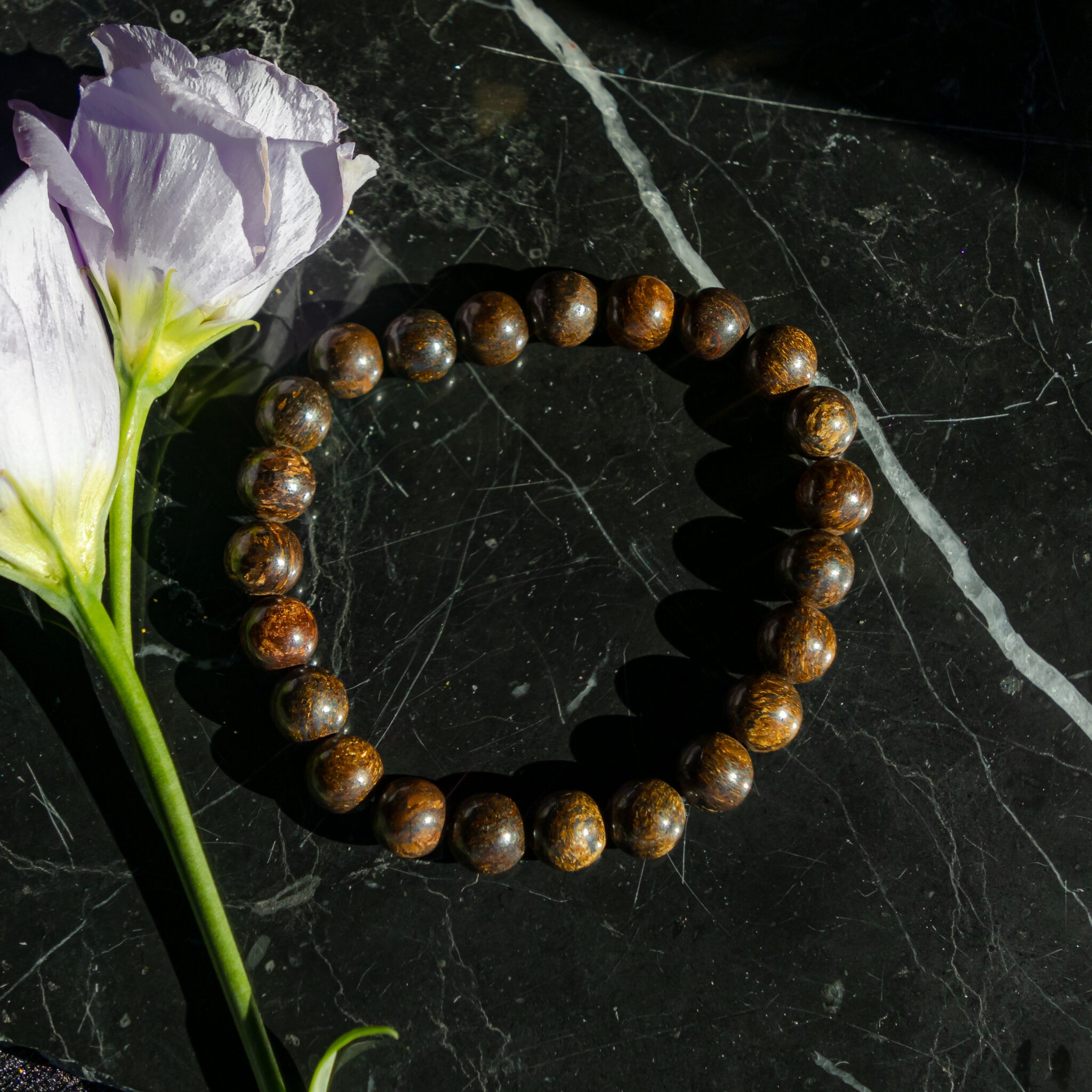 Bronzite Bracelet for release & grounding - Sage Goddess