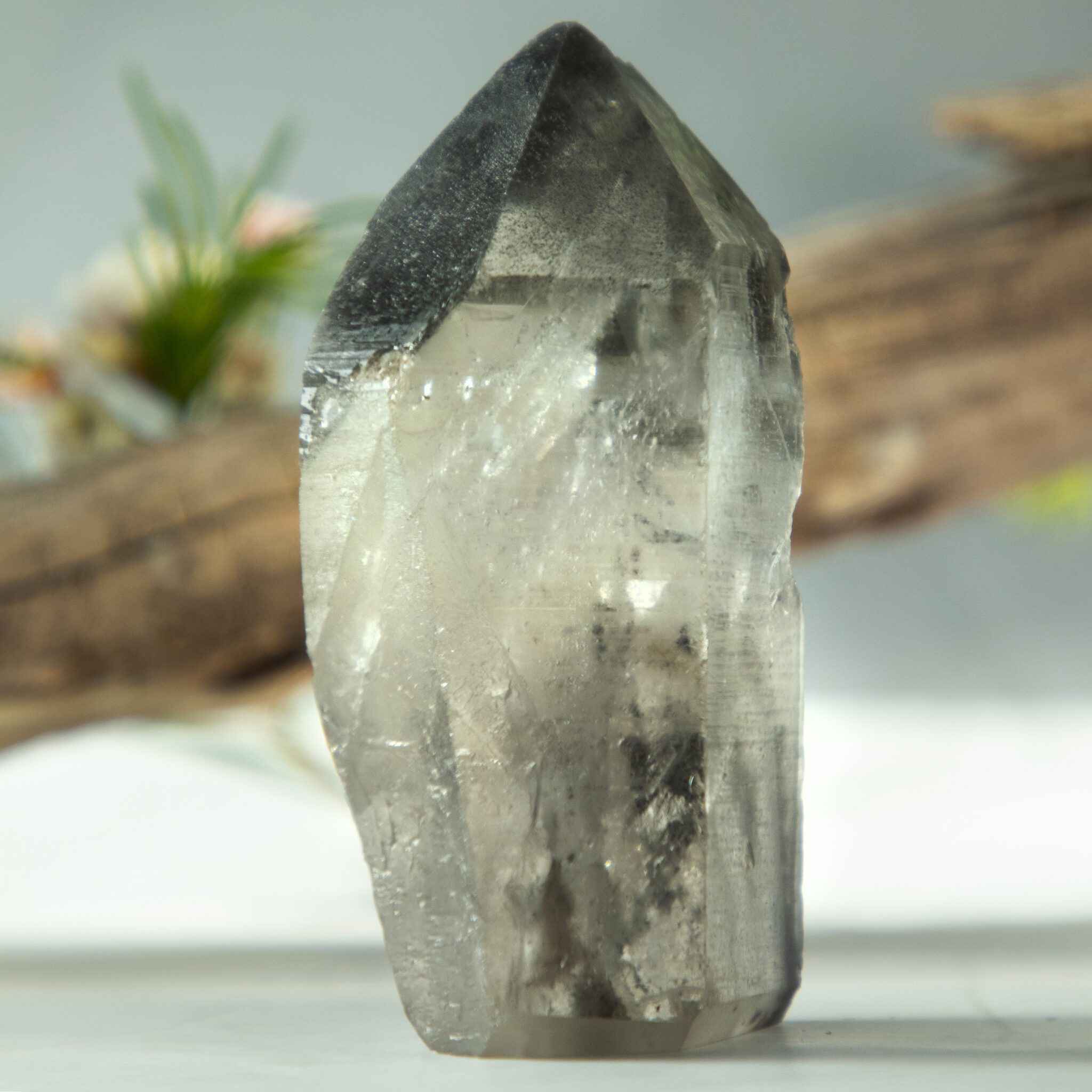 Phantom Lemurian Quartz Natural-Sided Generator - Sage Goodess