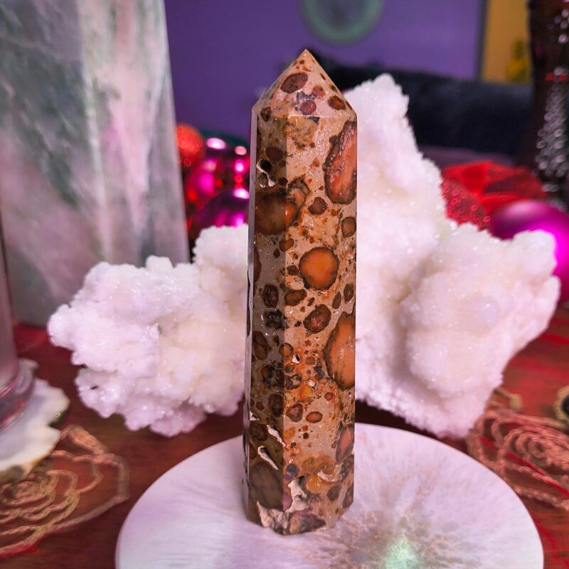 Rainforest Jasper Guide: Properties and Meaning - Sage Goddess