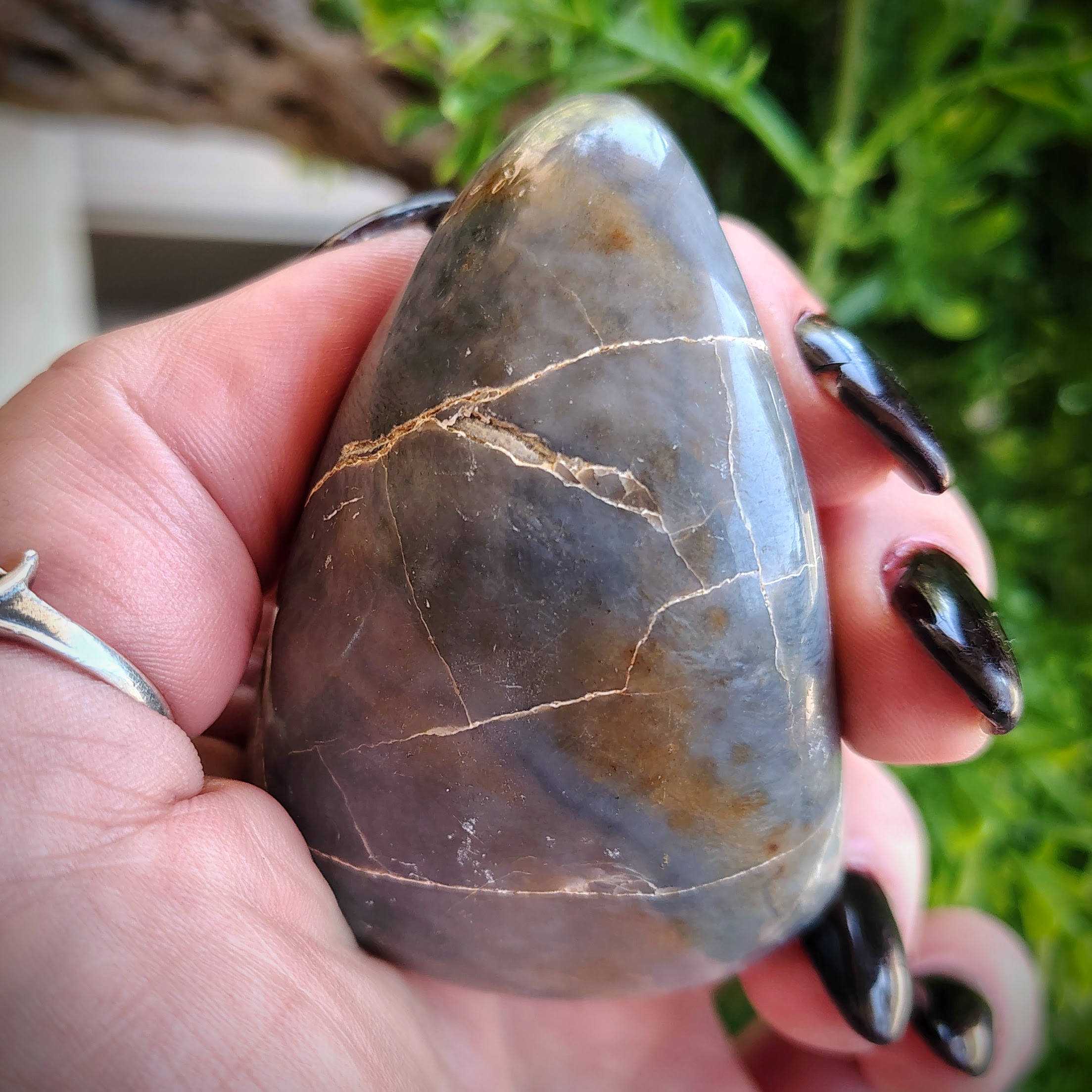 Sage Goddess Fossilized Oyster Shell for deep healing and wisdom